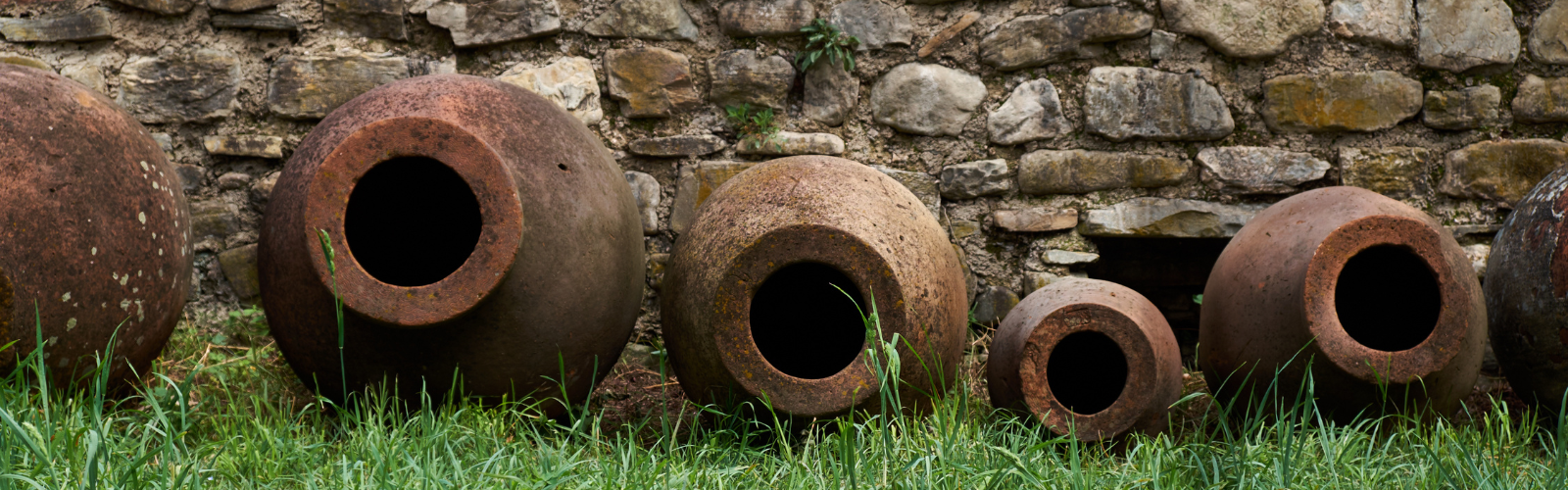 The Oxford Wine Company - Wine & Spirits Merchants